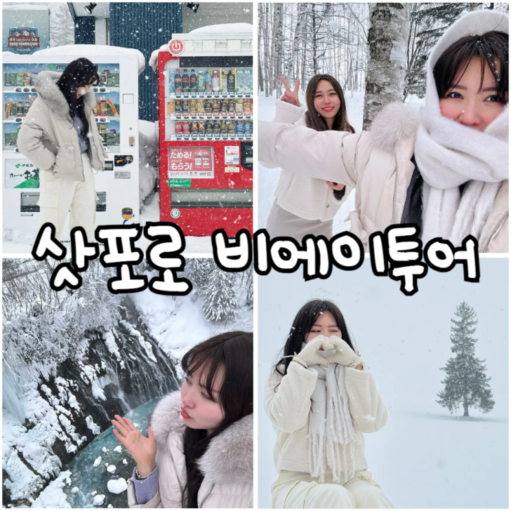 삿포로 비에이투어 일정 크리스마스 트리는 여행의 이유feat 라쿠 투어 네이버 블로그