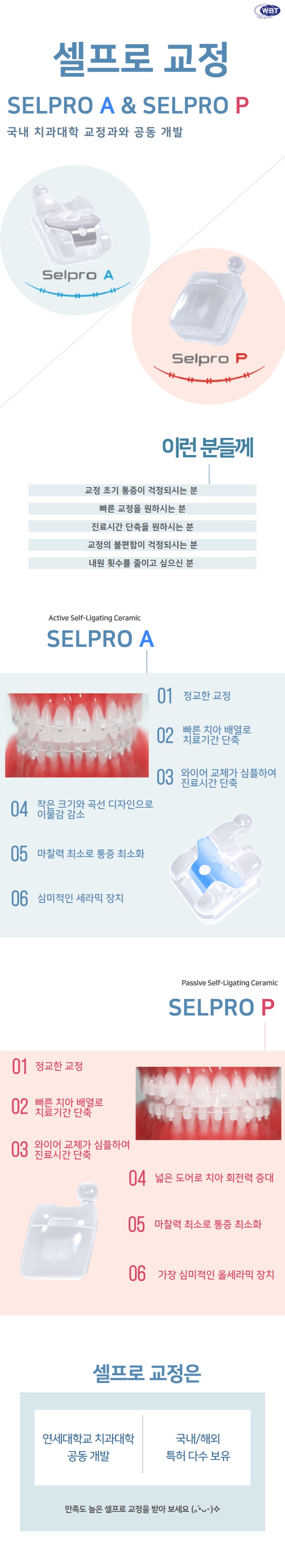 SELPRO A & SELPRO P : 네이버 블로그