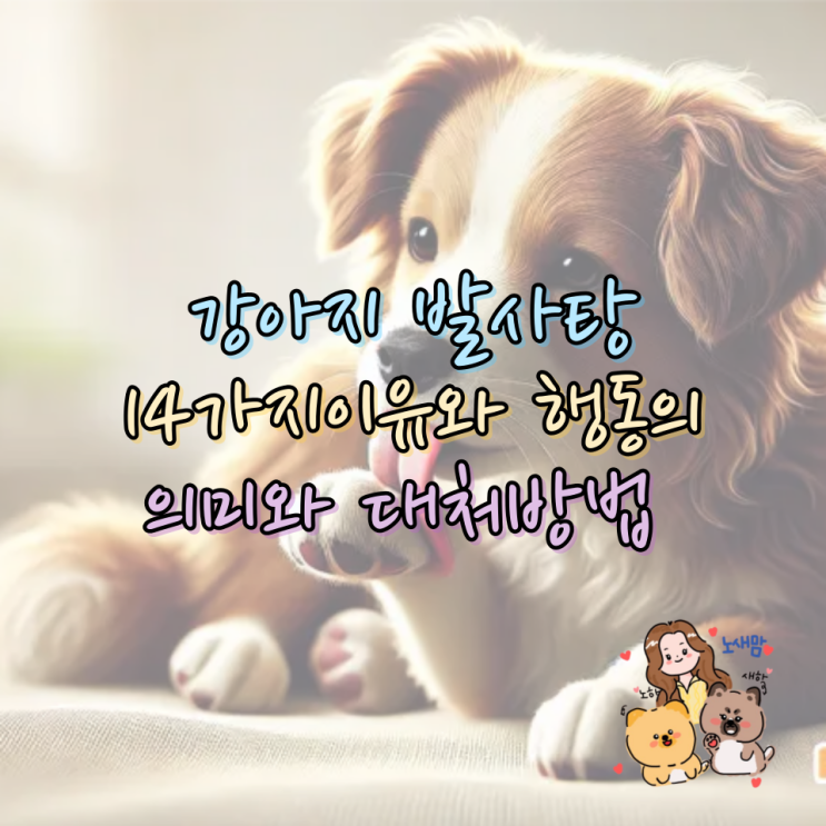 강아지발사탕 14가지이유와 행동의 의미와 대처방법 2탄 : 네이버 블로그