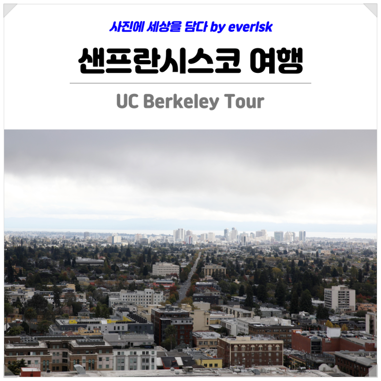 미국 서부 여행 : 캘리포니아 샌프란시스코 근교 관광지 UC Berkeley / 버클리 대학교 투어 기념품 렌트카 : 네이버 블로그