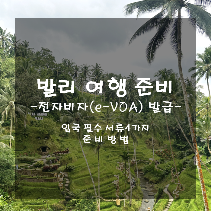 발리여행준비 발리 전자비자 발급 방법 E Voa 발리 입국 필수 서류 준비 네이버 블로그
