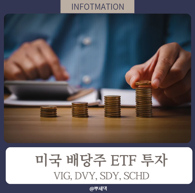 미국의 대표적인 배당주 ETF(VIG, DVY, SDY, SCHD) : 네이버 블로그