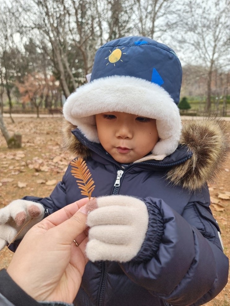 유아 숲체험과 자연물놀이 가능한 서울형키즈카페 실내놀이터 겨울 아기랑갈만한곳 네이버 블로그