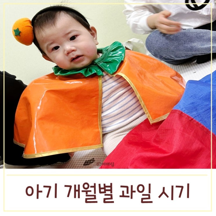 아기 과일 먹는 시기 개월별 언제부터 적정량 네이버 블로그