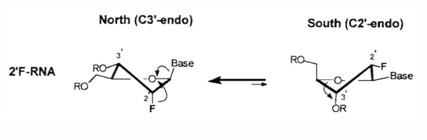 RNA 기본 배경지식 : 네이버 블로그