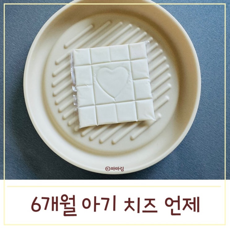 6개월 아기 치즈 1단계 언제부터 양 확인하기 네이버 블로그