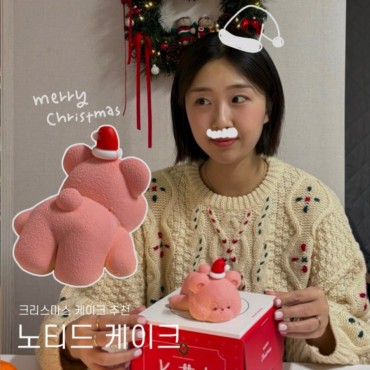 노티드 크리스마스 케이크 사전예약 픽업 @나홀로산타슈가베어 : 네이버 블로그