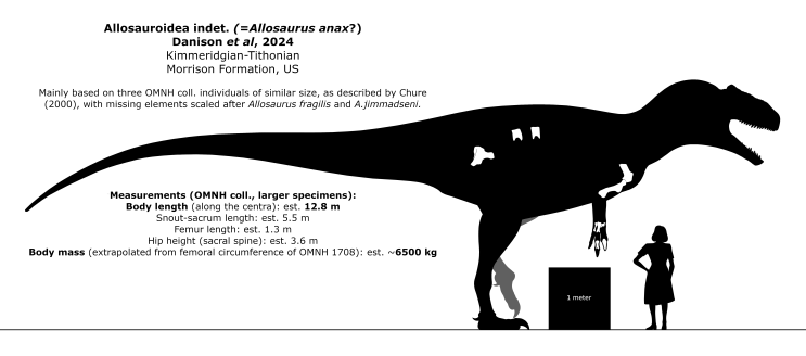 [골격도] Allosaurus anax by Randomdinos : 네이버 블로그