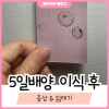 동결배아이식 5일배양 포배기 감자배아 이식당일 ~ 4일차 5일차임테기 두줄 및 증상 네이버 블로그