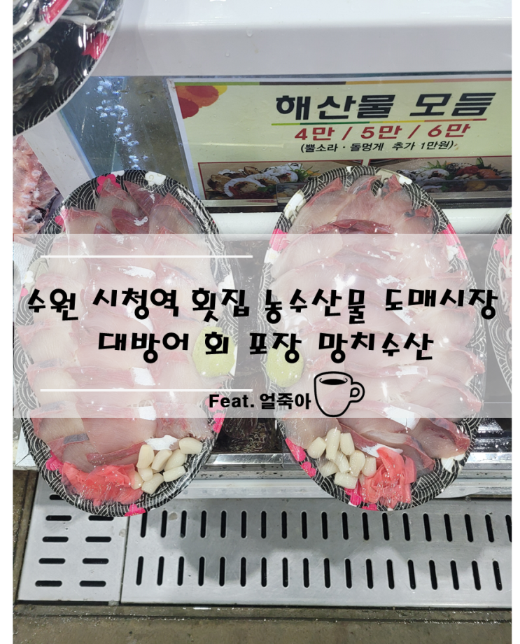 수원 시청역 횟집 농수산물 도매시장 대방어 회 포장 망치수산 네이버 블로그