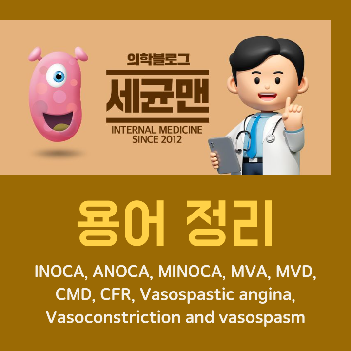용어 정리 : INOCA, ANOCA, MINOCA, MVA, MVD, CMD, CFR, Vasospastic angina ...