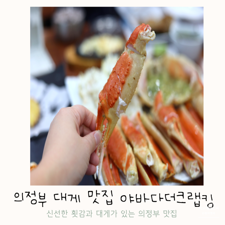 의정부 대게 맛집 야바다더크랩킹 모임장소로 좋은 횟집 네이버 블로그