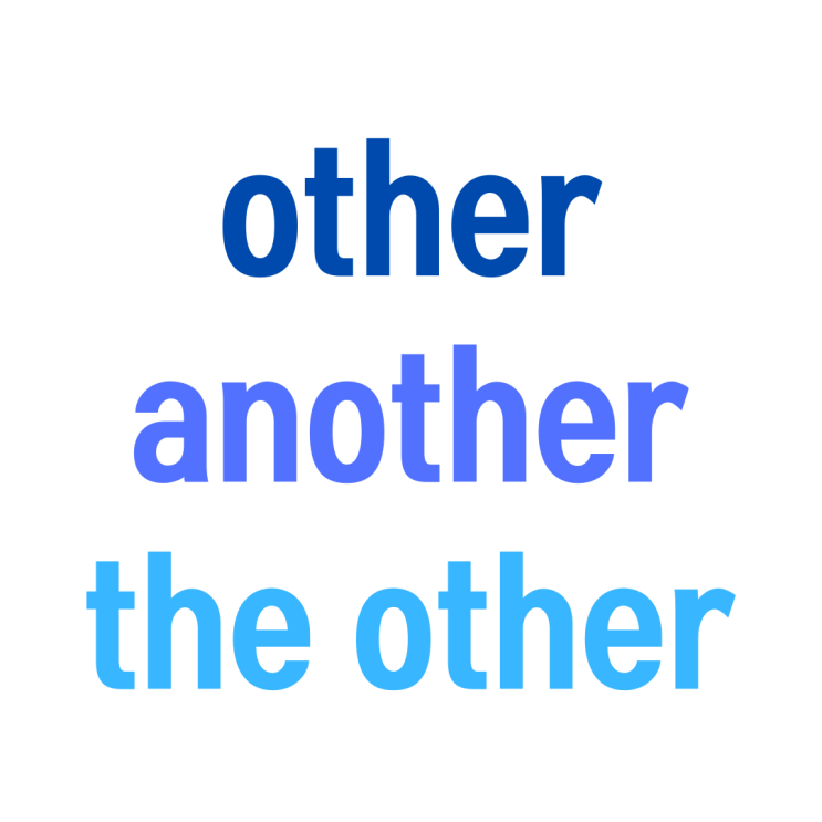 another, the other, other 품사와 뜻 차이 비교 : 네이버 블로그