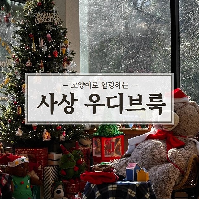 부산 사상 대형카페 우디브룩 고양이들과 힐링 네이버 블로그