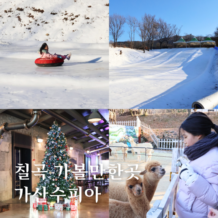 대구 근교 아이와 가볼만한곳 가산수피아 눈썰매장 알파카 체험 네이버 블로그