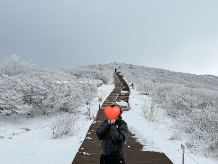 지리산 노고단 눈꽃산행 후기 및 예약 방법 : 네이버 블로그