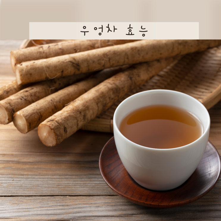우엉차 효능 부작용 기대되는 우엉 효능 7가지 임산부 섭취시 주의할점 네이버 블로그
