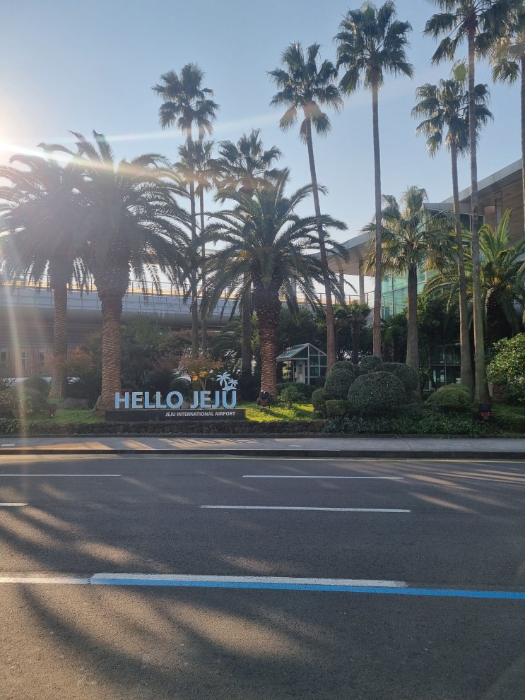 [동쪽제주] 나홀로 제주여행 : 네이버 블로그