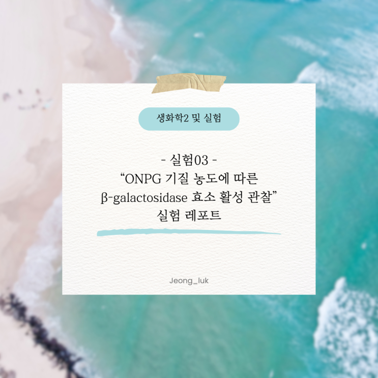 [생화학2및실험] 실험 03. ONPG 기질 농도에 따른 β-galactosidase 효소 활성 관찰 실험 레포트 : 네이버 블로그