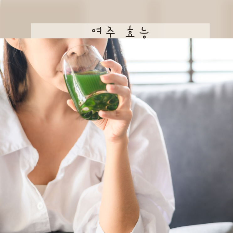 말린 여주 효능 7가지 여주차 여주즙 당뇨 혈당에 좋은 이유를 알고 먹자 네이버 블로그