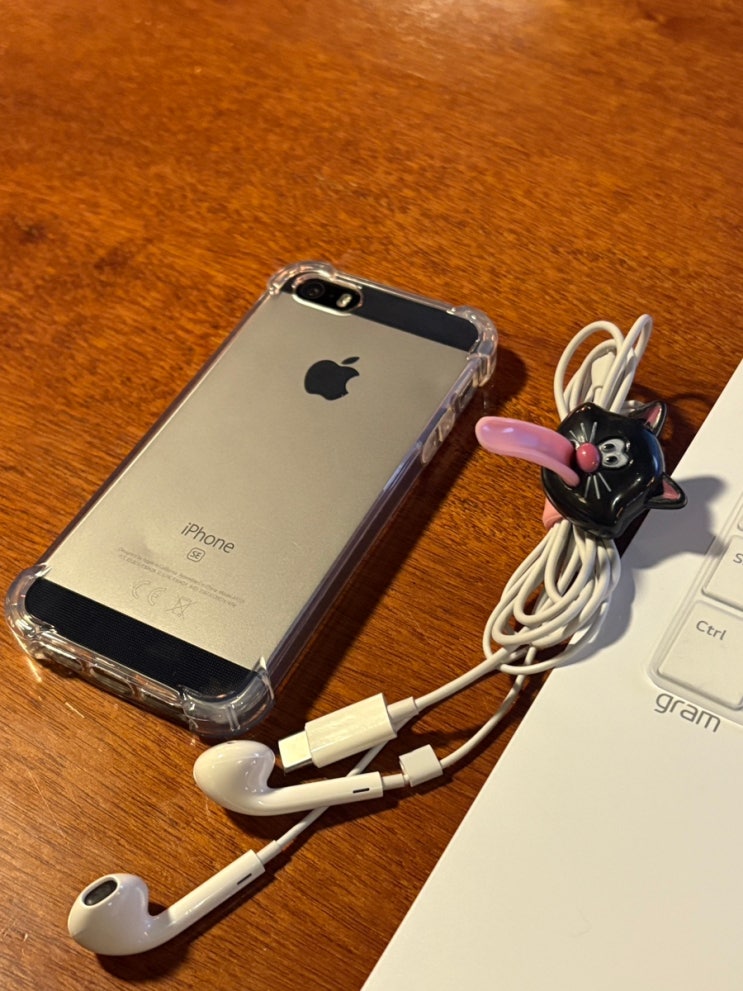 2024년에 구입해보는 아이폰SE1📱 스페이스그레이 32GB : 네이버 블로그