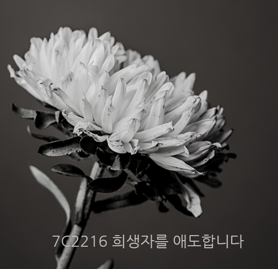 [항공뉴스] 제주항공 사고, 방콕 수완나폼 발 무안공항행 7C2216 : 네이버 블로그