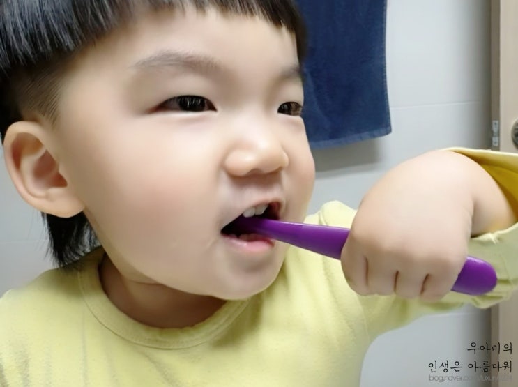 브리스틱 미세모 키즈 유아칫솔 추천 돌아기 어린이 양치 필수템 네이버 블로그