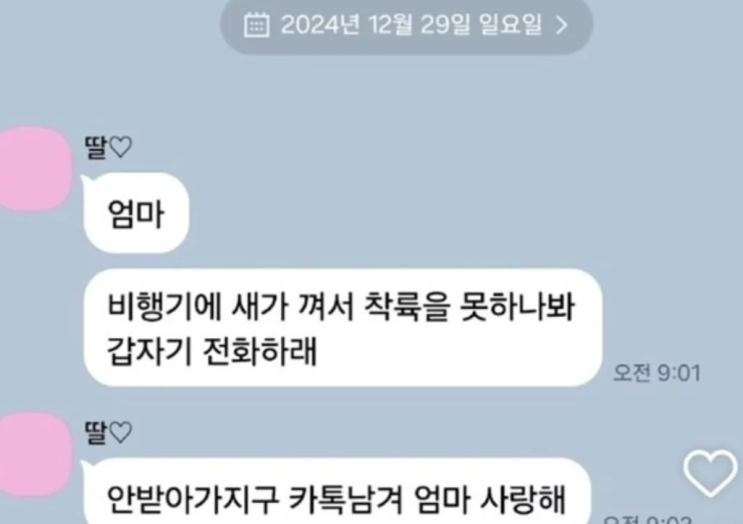 무안공항 제주항공 참사 승객 명단 공개 및 사고 전 카톡 메시지 버드스트라이크 원인 가능성 21년생 3살아기포함 비극