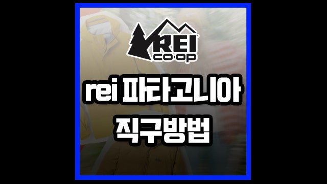 rei 파타고니아 직구방법 레이에서 30분 만에 구매하기 : 네이버 블로그