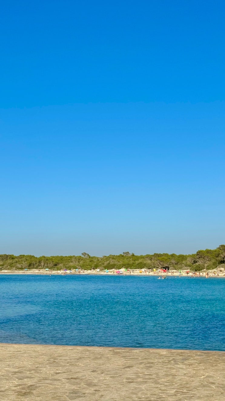🏖️ ️ hm4 | 마요르카 신혼여행 | platja estanys | 마요르카해변 추천 | 5illes beach&sunset ...