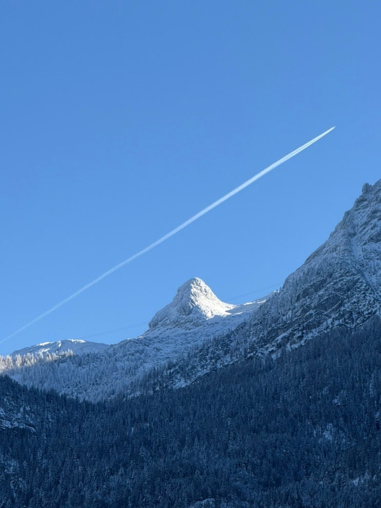 [2024.12.25] 크리스마스 당일 빈에서 할슈타트 당일치기 : 네이버 블로그