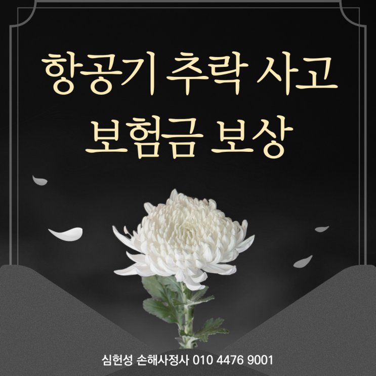 항공기 추락 사고 보험금 보상금 손해사정사가 알려드립니다무안국제공항 제주항공 참사 네이버 블로그