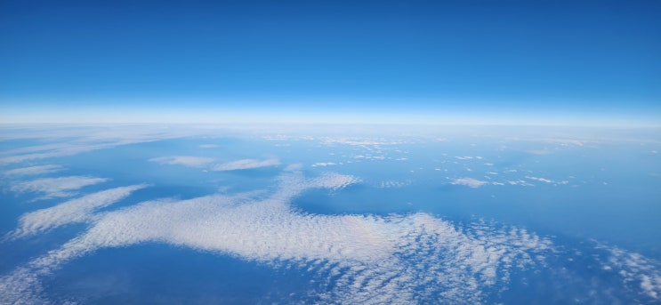 250113 입트영) Conception Dreams : 네이버 블로그