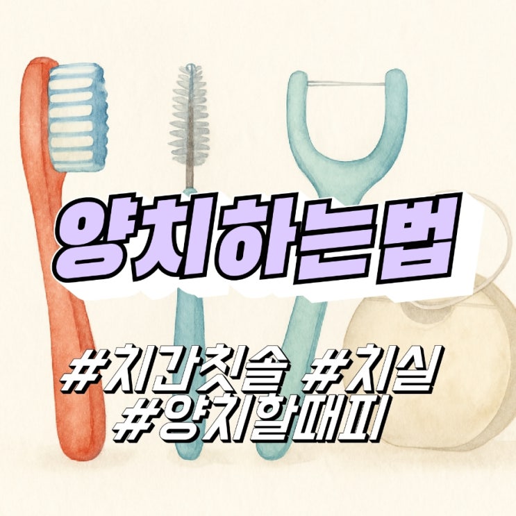 치간칫솔 치실 사용법 양치하는법 순서 양치할때피 치실피 네이버 블로그