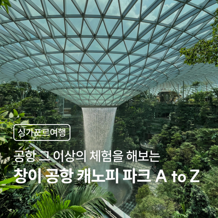 싱가포르 창이 공항 | 쥬얼 창이, 캐노피 파크를 제대로 즐기는 방법 (어트랙션, 분수쇼, 가는 법까지 총정리) : 네이버 블로그