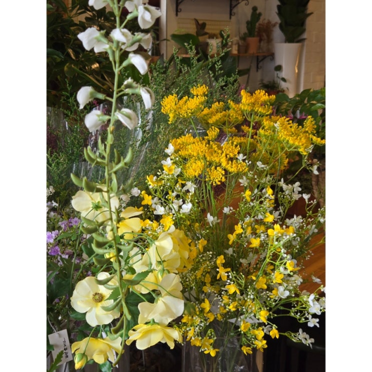 25년 2월 3주-3월 마지막 주 원지 아카이브[분량 많음 주의] : 네이버 블로그