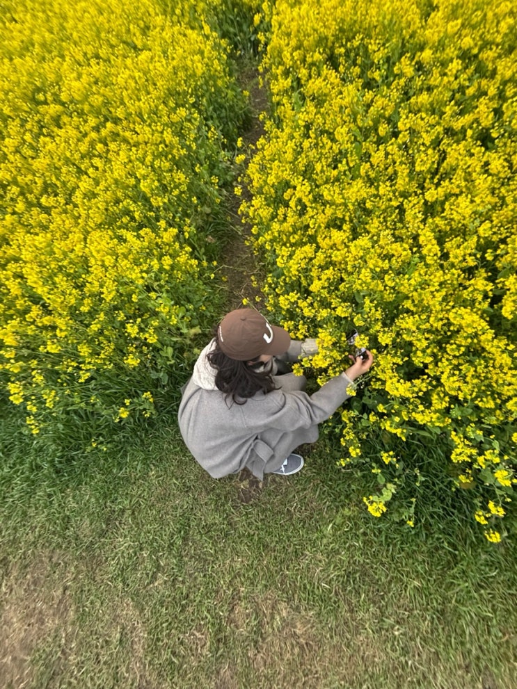 ㅊㅊ : 네이버 블로그