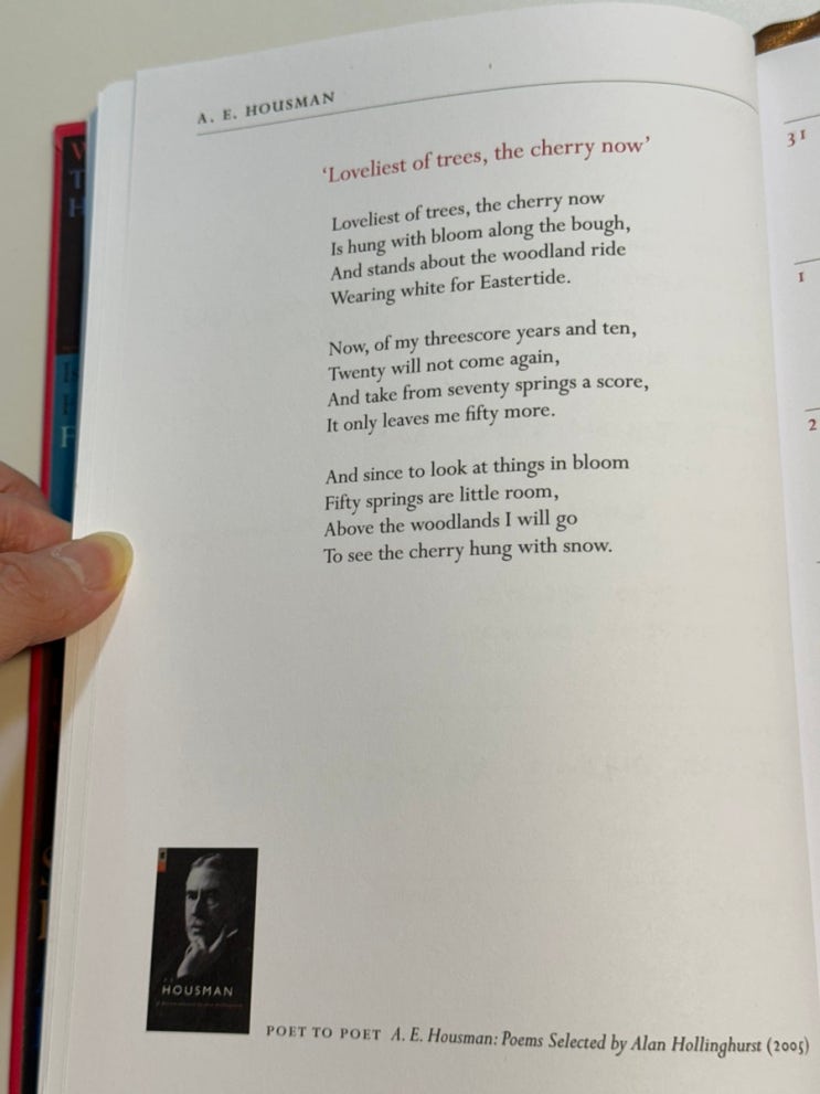 loveliest of trees, the cherry now - A.E. Housman, 영국시인, 영문시 번역 : 네이버 블로그