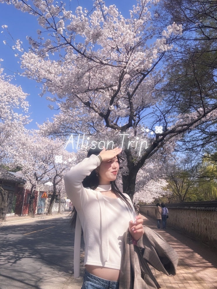 2025. Allison Trip. 블로그 소개. 공지글. : 네이버 블로그