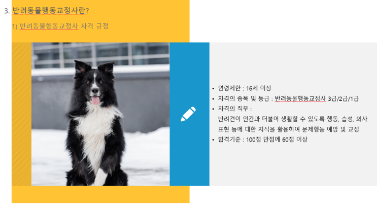 반려동물행동교정사 자격 안내 : 네이버 블로그