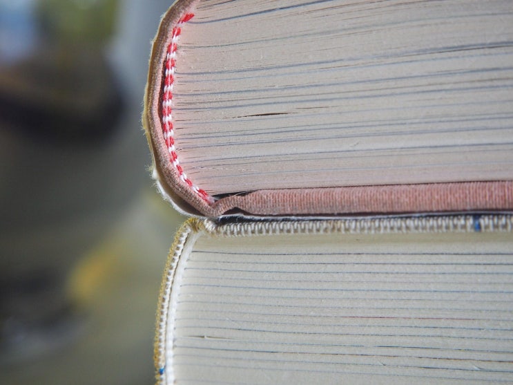 청소년지도사 1급 필기 핵심정리 마지막 청소년 연구방법론 : 기타 분석 기법 및 연구 부정행위 : 네이버 블로그