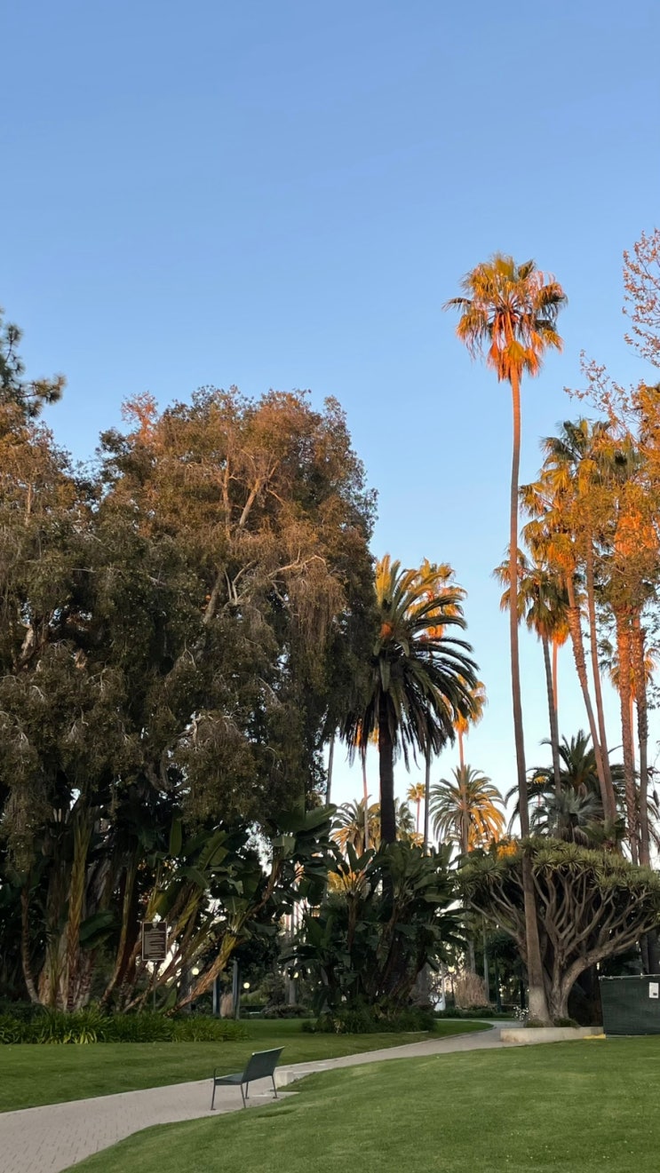 [미국 인턴] How to 트랜스퍼! (J1 ️ E2) : 네이버 블로그