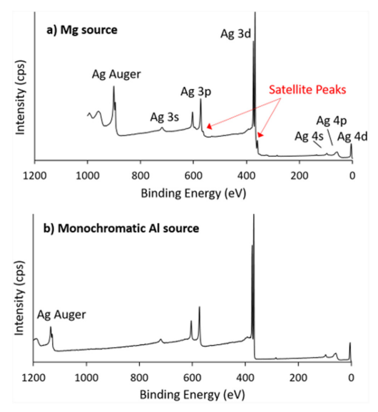 [XPS]#2 : 네이버 블로그
