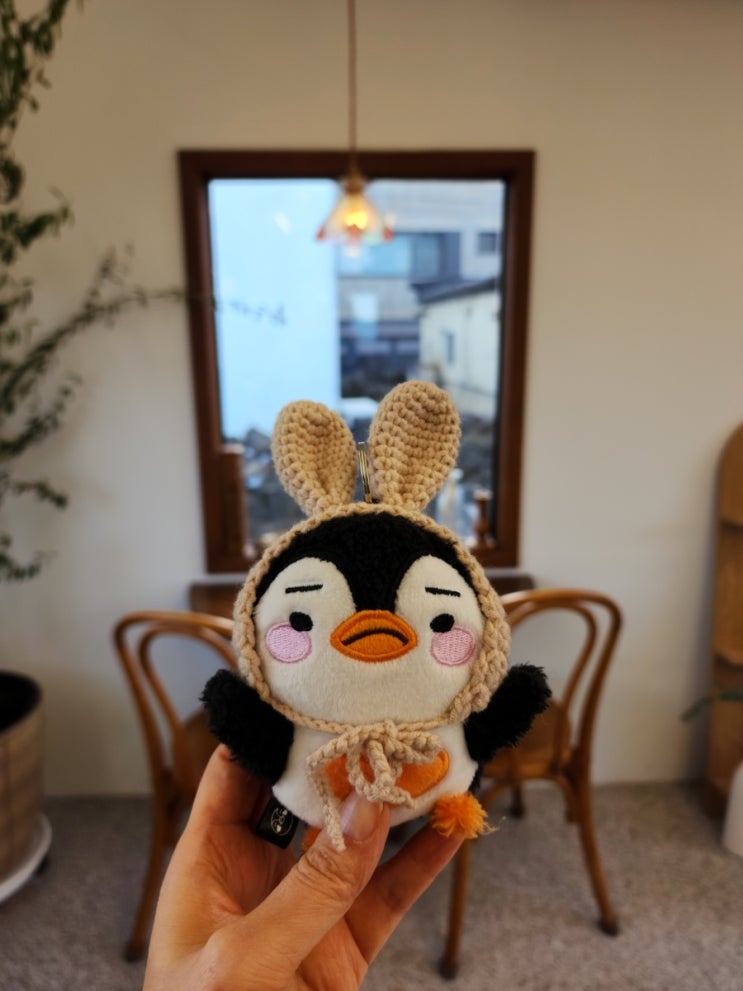 2025 제주도 투어 : 네이버 블로그