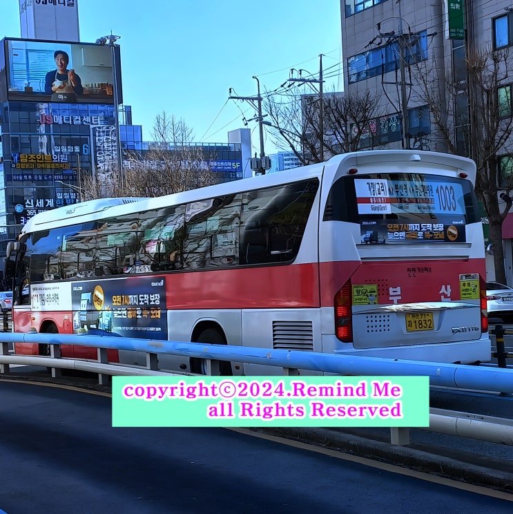 부산 부산여객 1003번 1832호 FXII116 크루징 애로우 NGV 15' : 네이버 블로그