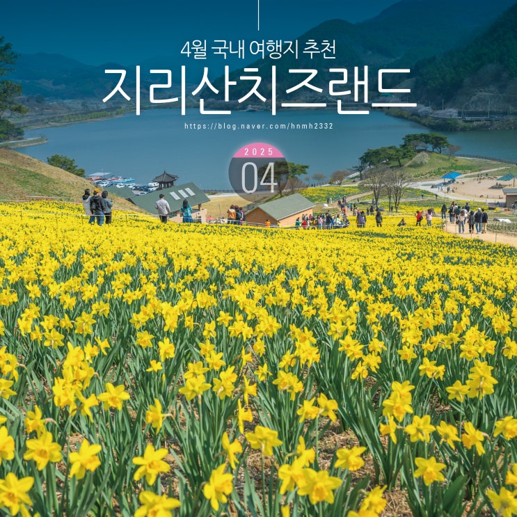 4월 국내여행지 추천 구례 여행 지리산 치즈랜드 구례 수선화 축제 네이버 블로그