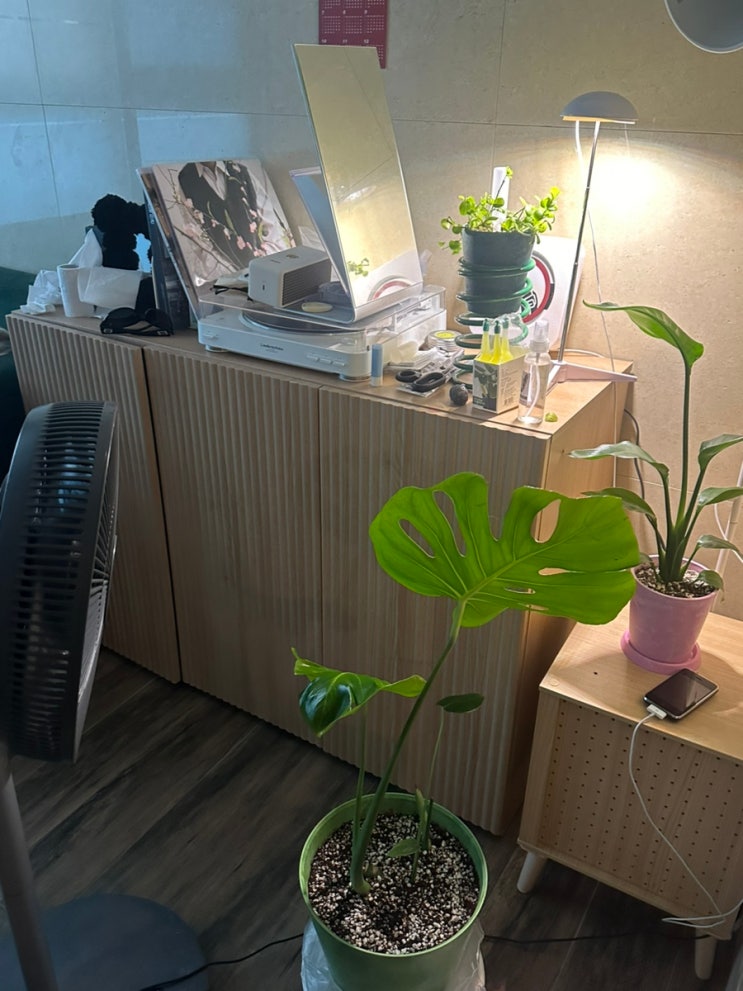 🍏 : 네이버 블로그
