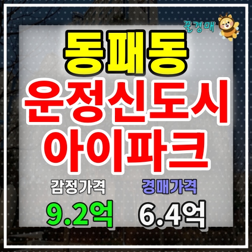 파주 동패동 운정신도시아이파크 아파트 경매 43평 : 네이버 블로그