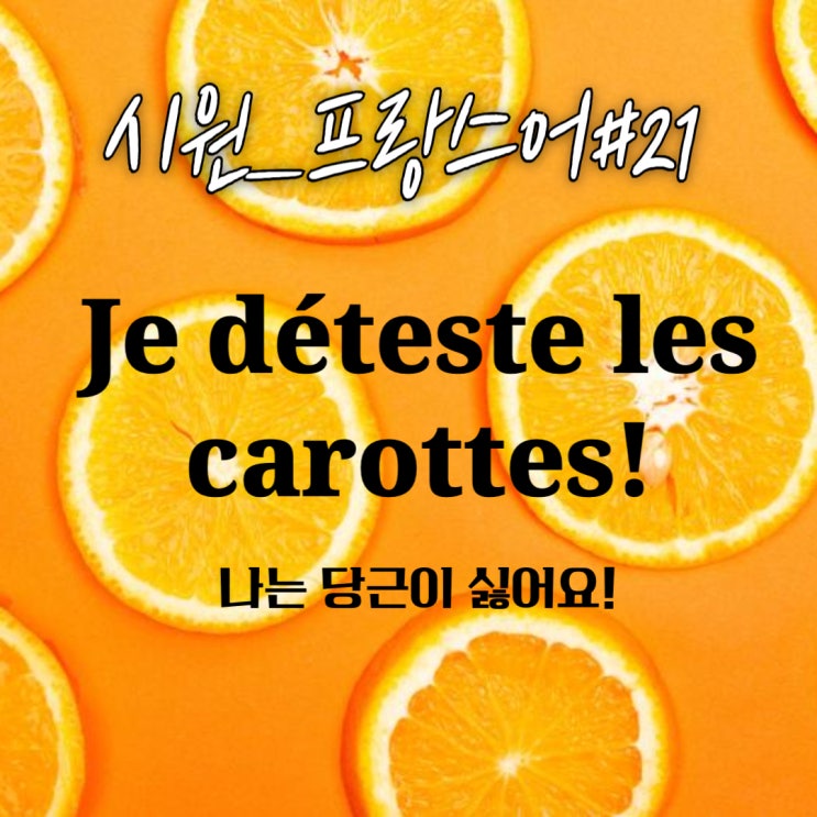 프랑스어 과일 야채 adorer détester 지시형용사 지시대명사 : 네이버 블로그