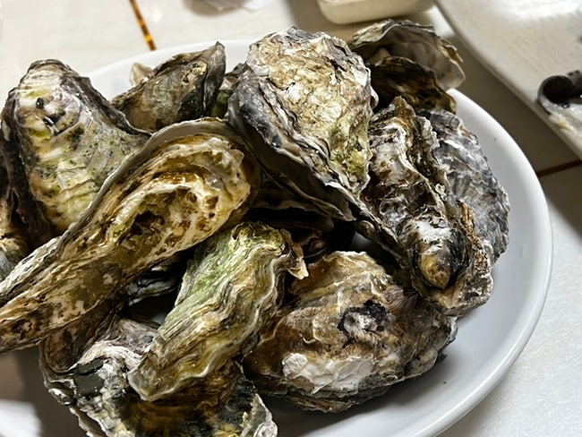 [목동 현지인 맛집] 동해랑_스끼다시가 많고 싱싱한 회가 있는 찐맛집 : 네이버 블로그